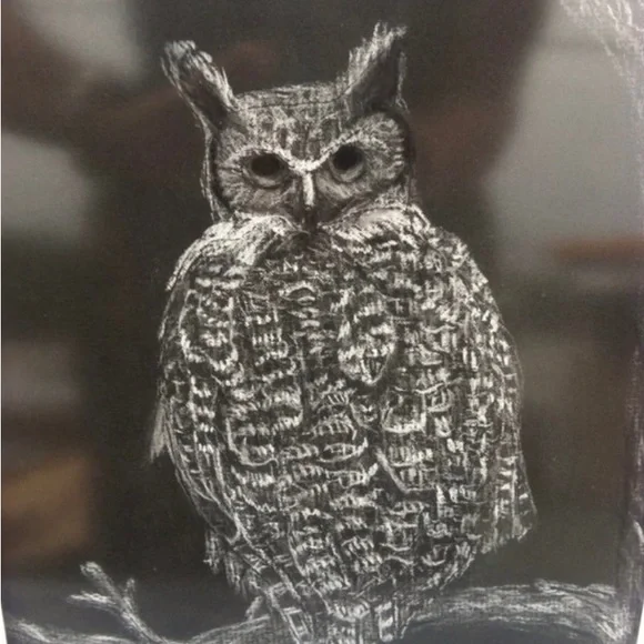 scratchboard owls